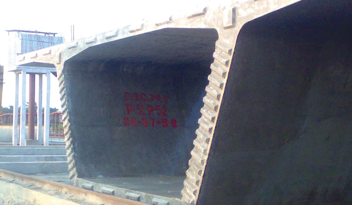 Dhola Sadiya - India's Longest River Bridge - NBM Media Pvt. Ltd.
